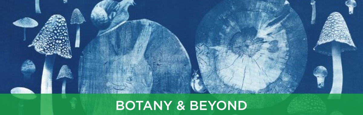 BOTANY & BEYOND