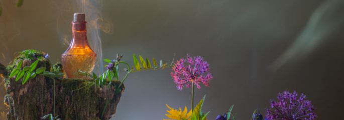 Autumn Potions Walk - The Arboretum