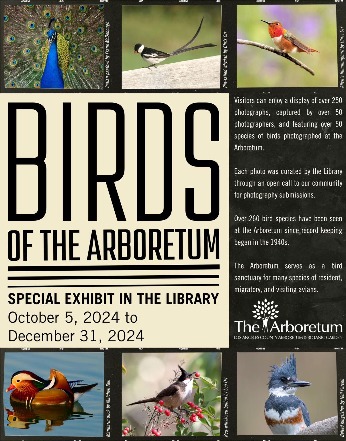 Birds of the Arboretum Photo Exhibit extended through February. - The ...