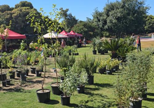 Front Page - The Arboretum